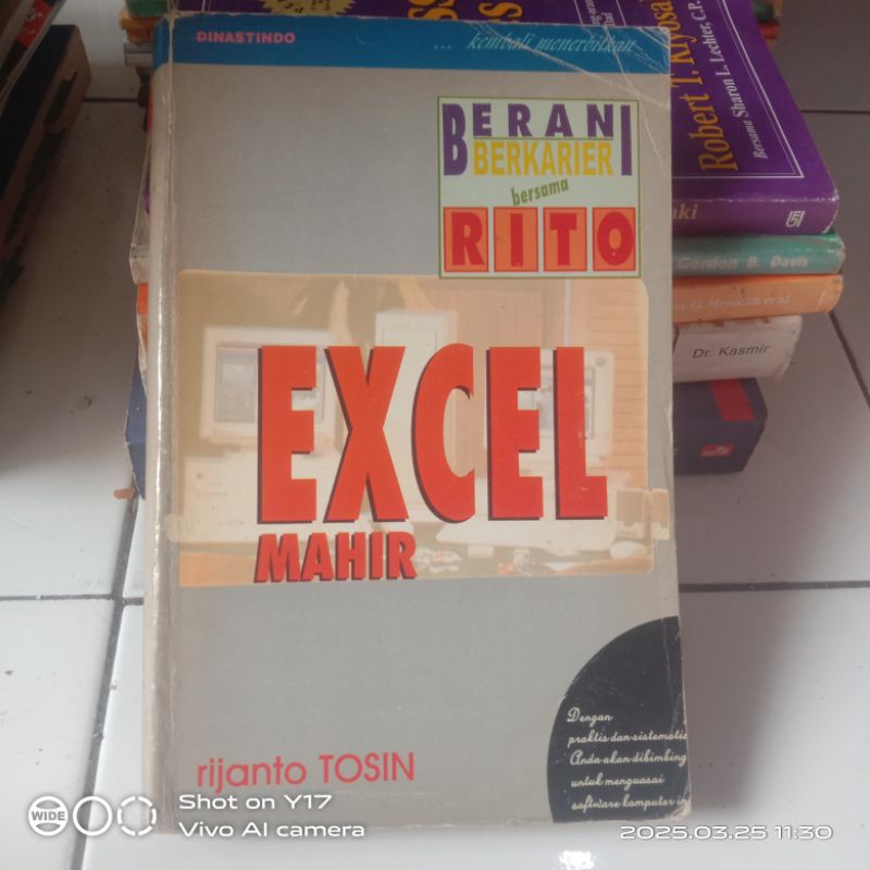 Jual BUKU BERANI BERKARIR BERSAMA RITO EXCEL MAHIR OLEH RIJANTO TOSIN ORIGINAL | Shopee Indonesia