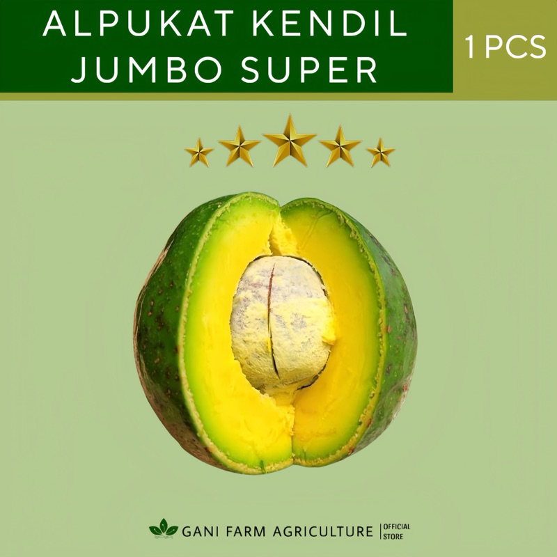 Jual ALPUKAT MARKUS / ALPUKAT KENDIL MENTEGA UNGGULAN SUPER JUMBO 750gr ...