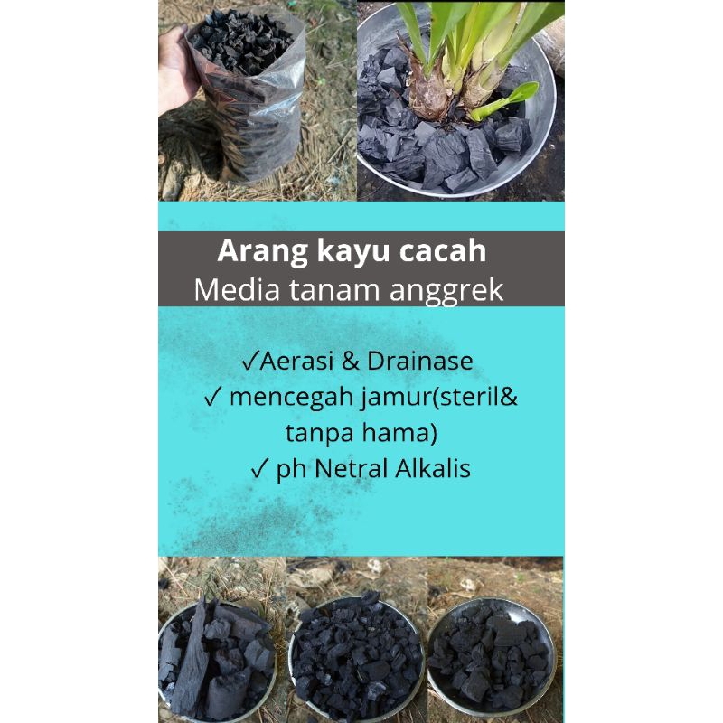 Jual Arang Kayu Media Tanam Anggrek | Shopee Indonesia