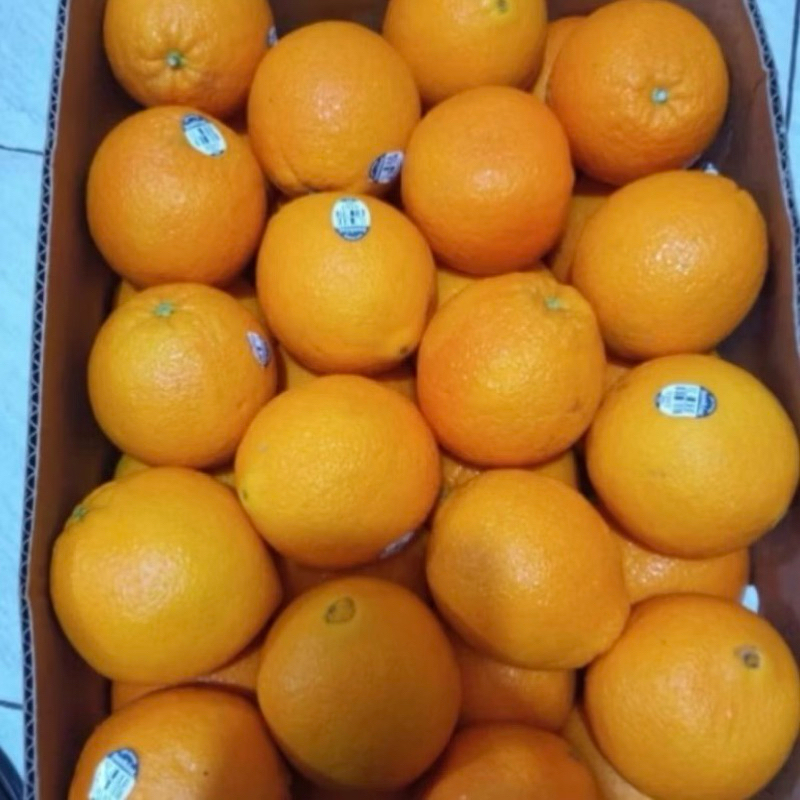 Jual Jeruk sunkist navel fresh 1kg | Shopee Indonesia