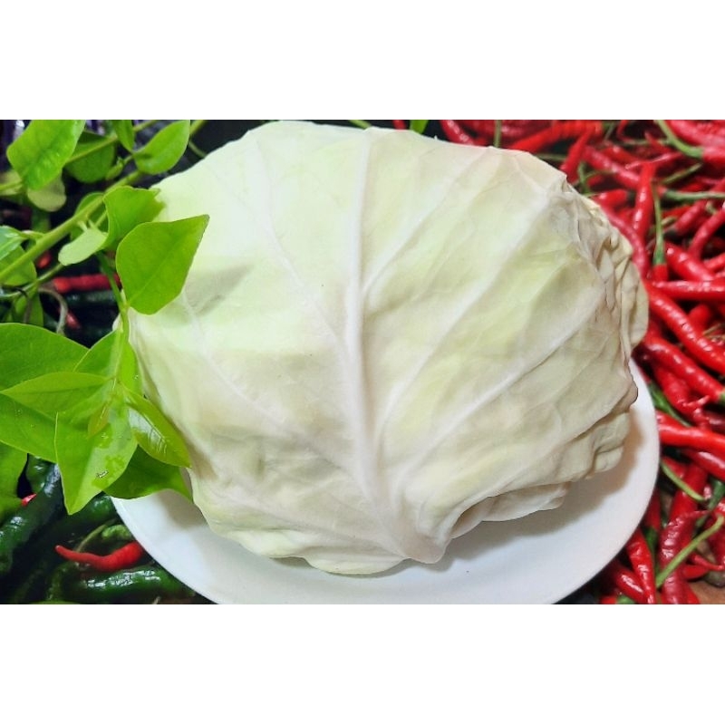 Jual Kol Putih Segar 500 Gram | Shopee Indonesia