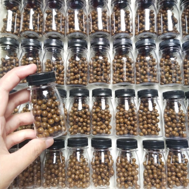 Jual JAMU PIL PINANG ANUM ISI ±100 PCS DALAM 1 BOTOL [ BELI 10 BONUS 1 ...