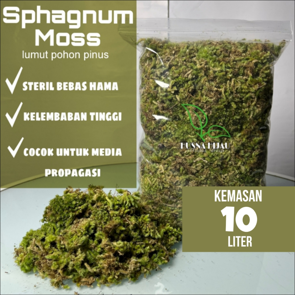 Jual SPHAGNUM MOSS kemasan 10 liter, lumut hidup hutan pinus, Lumut ...