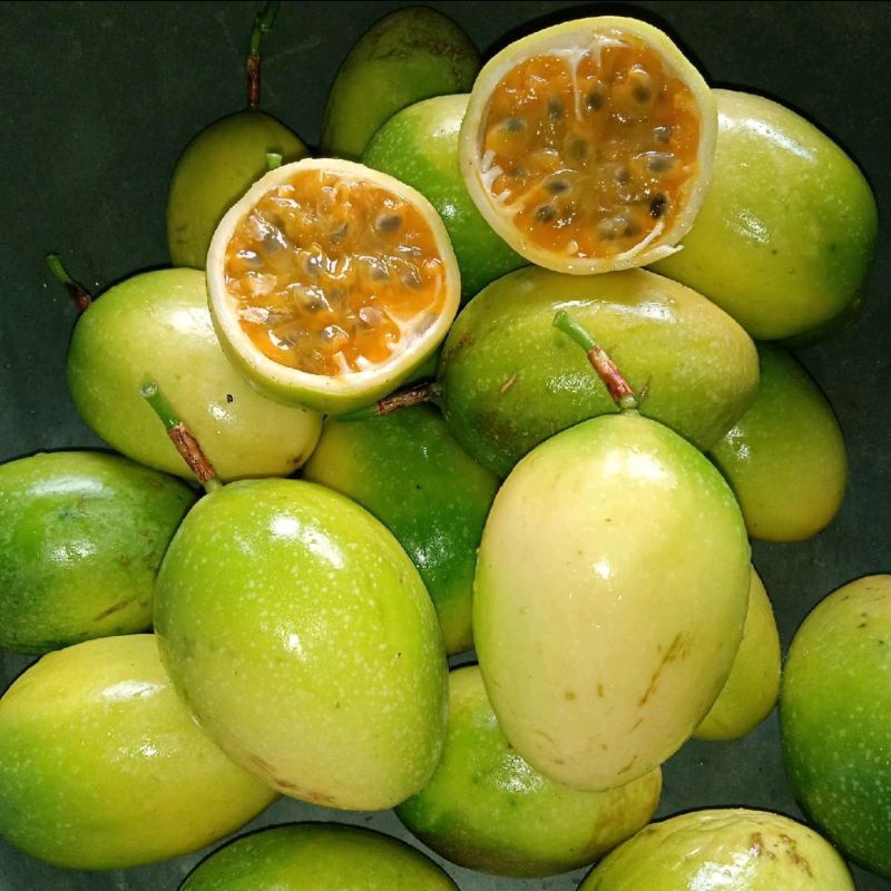 Jual Buah markisa atau konyal segar 500 gram | Shopee Indonesia