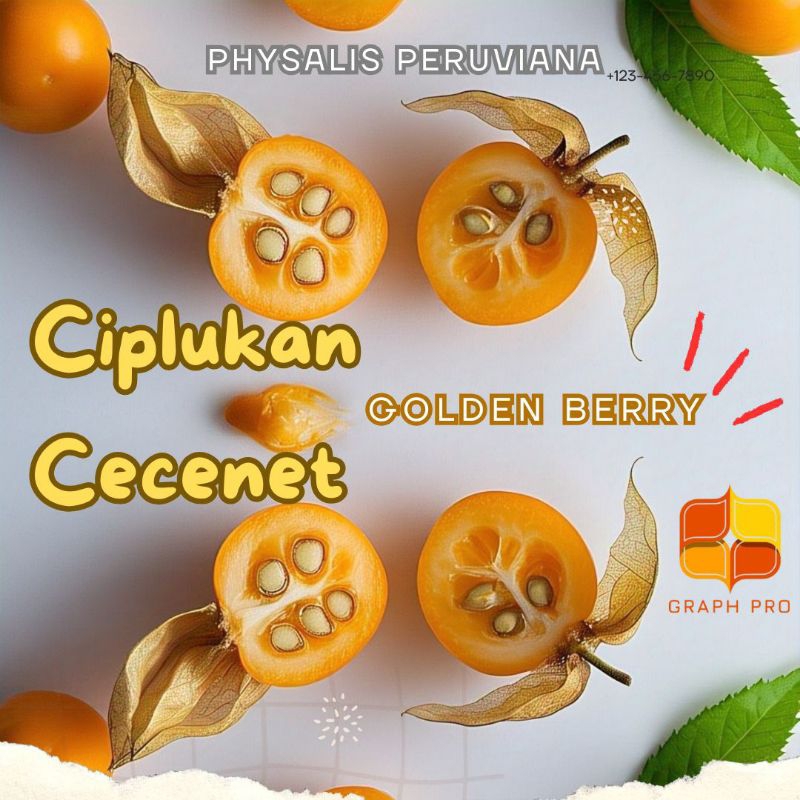 Jual 𝑪𝒊𝒑𝒍𝒖𝒌𝒂𝒏/𝑪𝒆𝒄𝒆𝒏𝒆𝒕/𝑮𝒐𝒍𝒅𝒆𝒏 𝑩𝒆𝒓𝒓𝒚/𝑷𝒉𝒚𝒔𝒂𝒍𝒊𝒔 | Shopee Indonesia