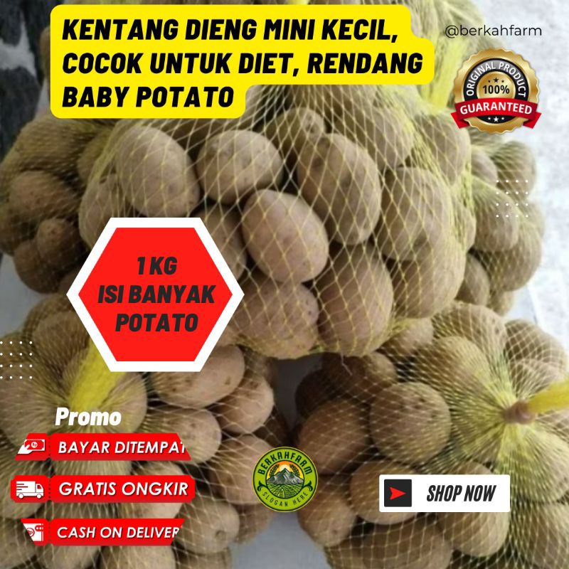 Jual kentang dieng mini kecil 1kg isi lebih banyak kualitas sama cocok ...