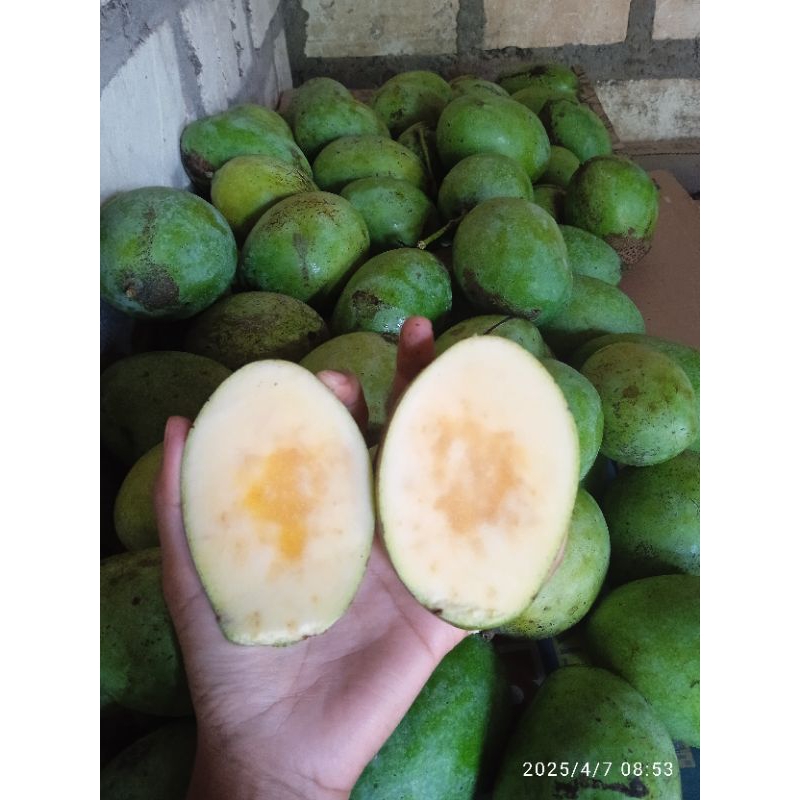 Jual mangga madu | Shopee Indonesia