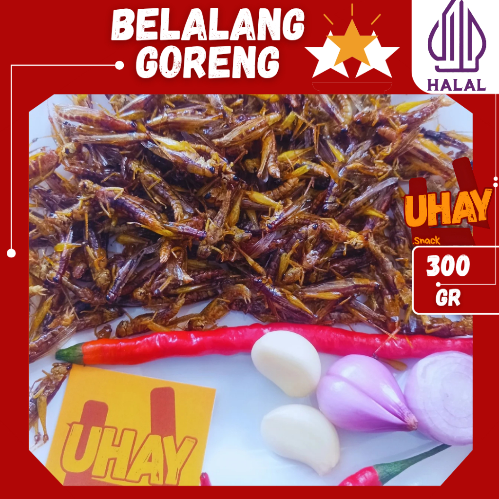 Jual Cemilan belalang goreng kecil 300-30gram | snack simet simeut ...