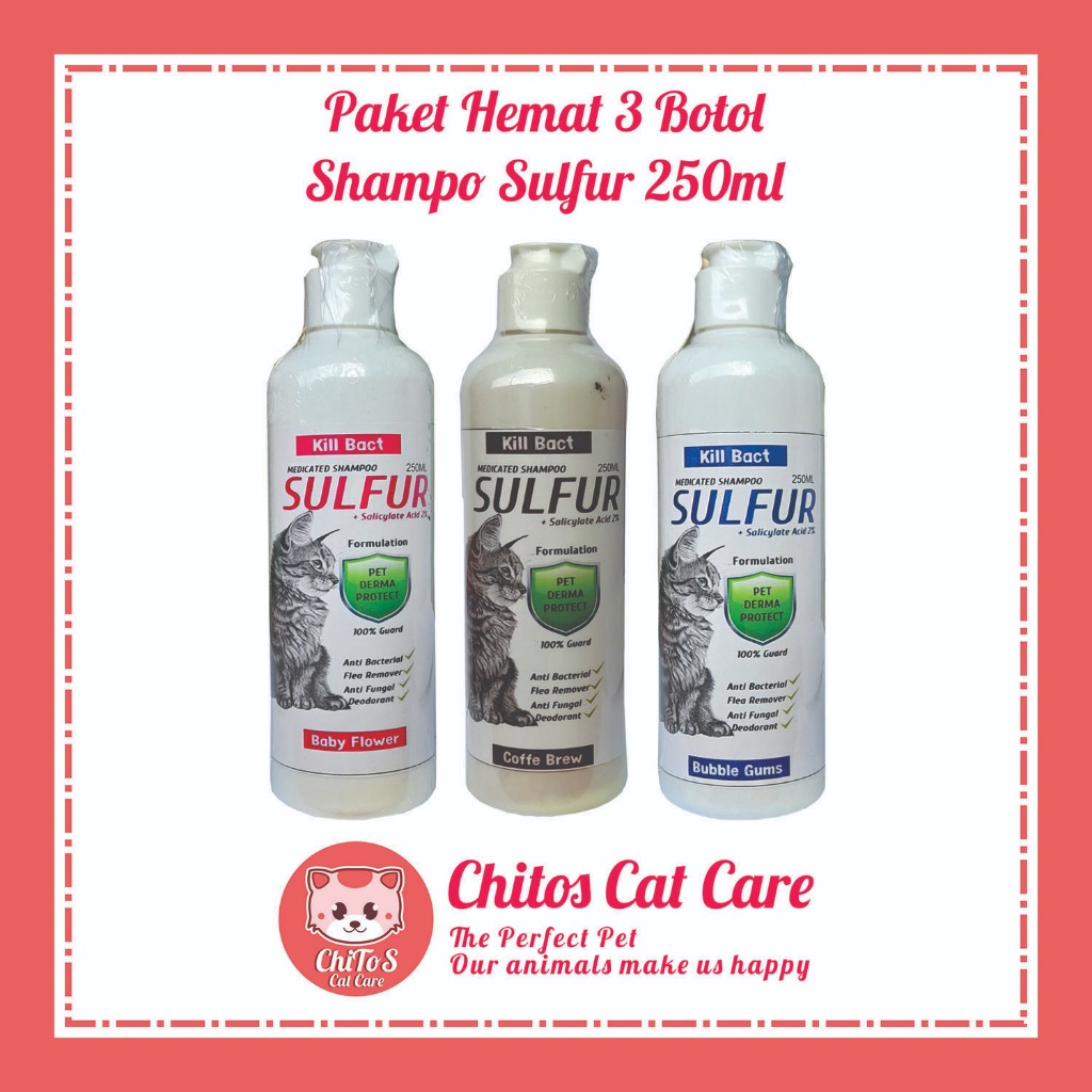Jual SHAMPO ANTI JAMUR DAN KUTU KUCING PAKET HEMAT 3 BOTOL SAMPO SHAMPO ...