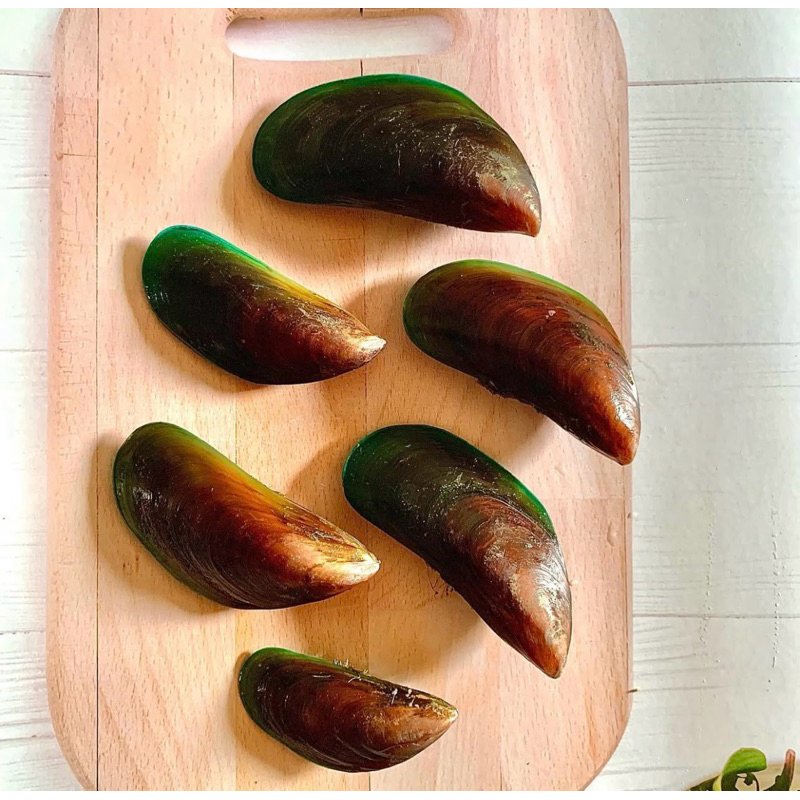 Jual Kerang Hijau Fresh Ukuran 1kg – Segar & Siap Masak | Shopee Indonesia