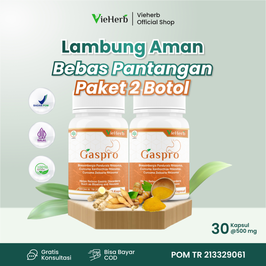 Jual Gaspro 2 BOTOL Obat Lambung 30 Kapsul BPOM Asli Membantu Mengatasi ...