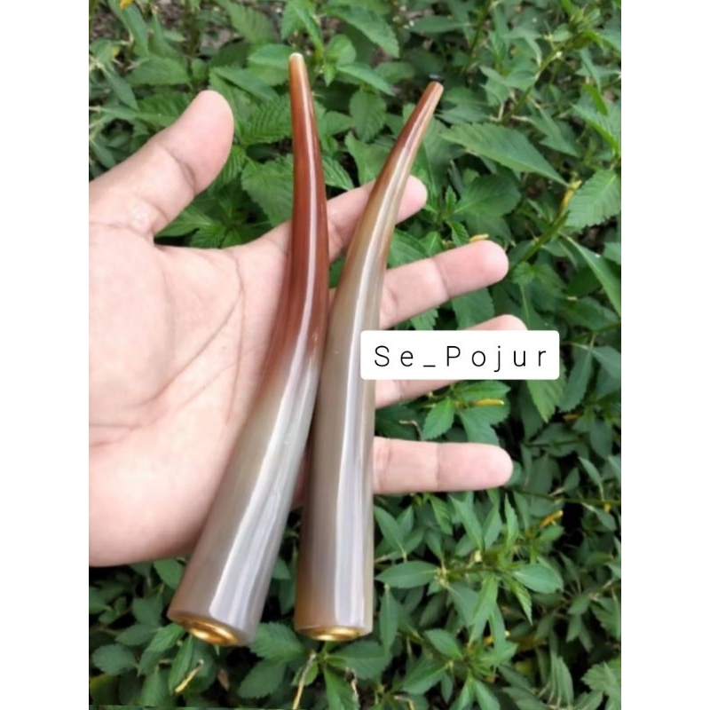 Jual ONCE PIPA TANDUK KERBAU HITAM BULE SUPER PANJANG 14-16cm | Shopee ...
