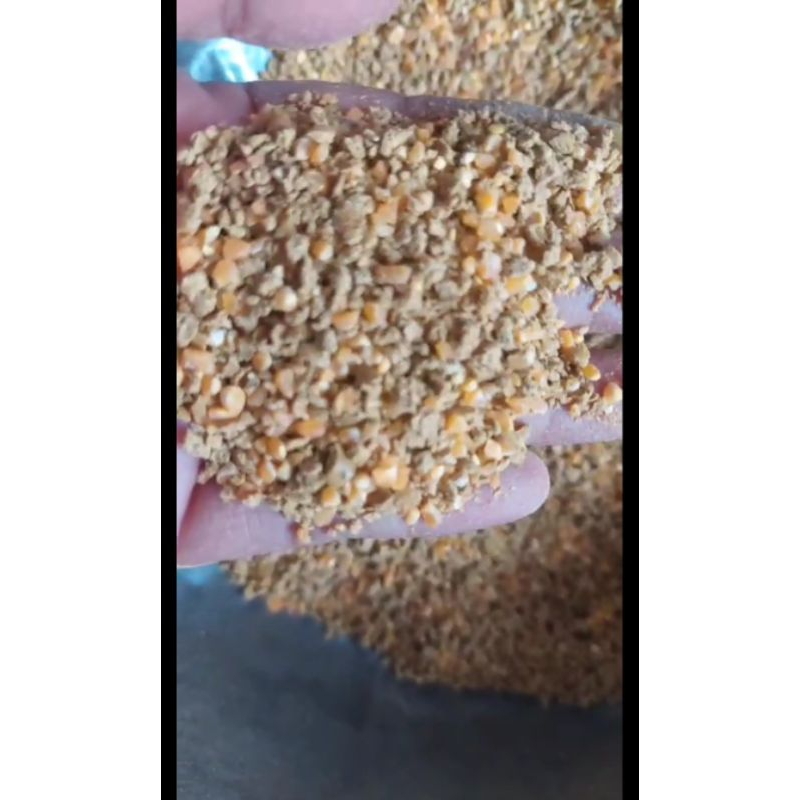Jual pakan ayam petelur rijek pohkphan | Shopee Indonesia
