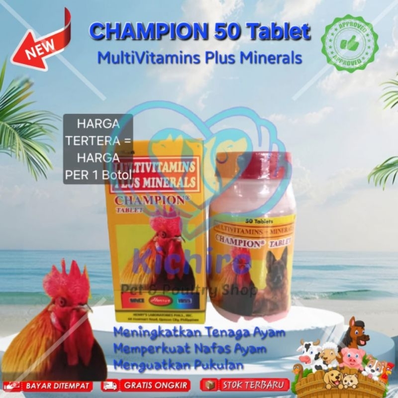 Jual New Champion Isi 50 Tablet Import Filipina Multivitamin Plus ...
