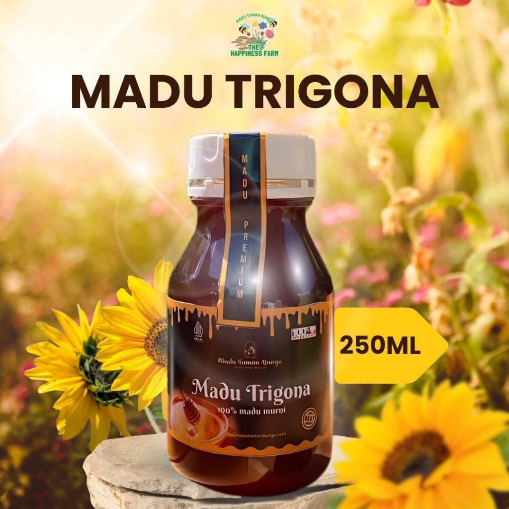 Jual Madu Trigona Premium 250ml - Aman untuk Diabetes, Fermentasi Alami ...