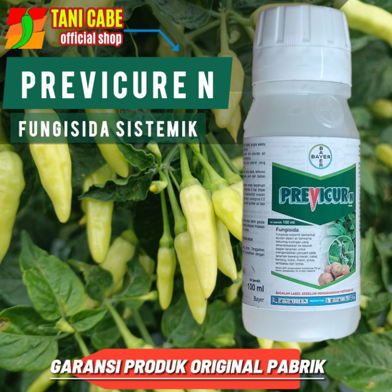 Jual PREVICUR N - FUNGISIDA SISTEMIK 100 ML | Shopee Indonesia