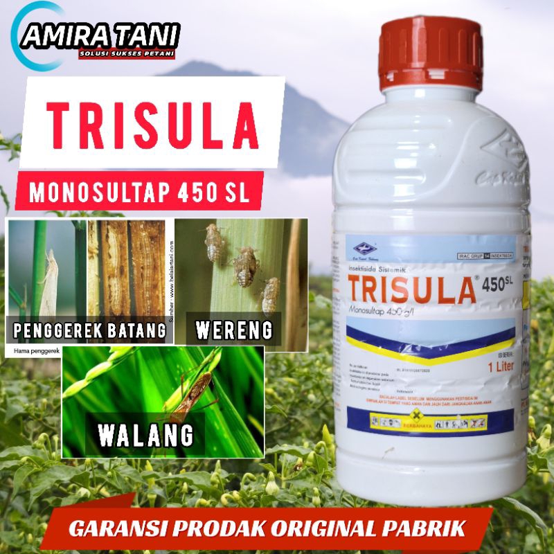 Jual insektisida Trisula 1 Liter atasi hama penggerek batang dan wereng ...