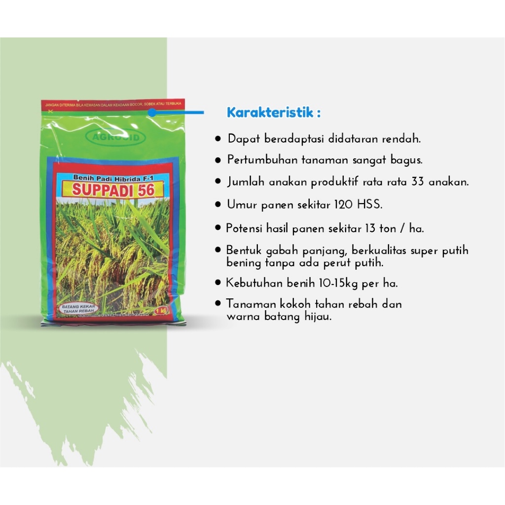 Jual Padi Hibrida Supadi ORI 100% | Shopee Indonesia