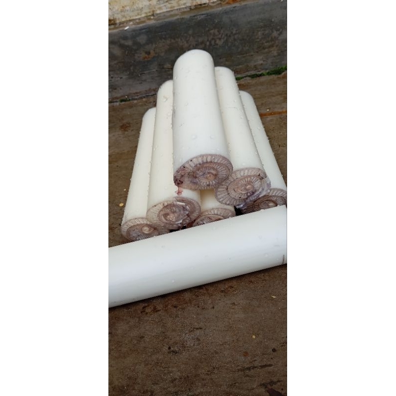 Jual 1kg Gedebog | Batang pisang Muda | Gedebong pisang | Shopee Indonesia