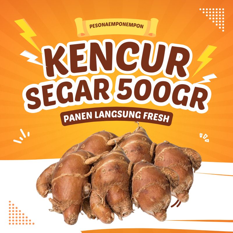 Jual Kencur Segar Kencur/Cikur 500 Gram Panen Fresh Wangi Pedas Enak ...