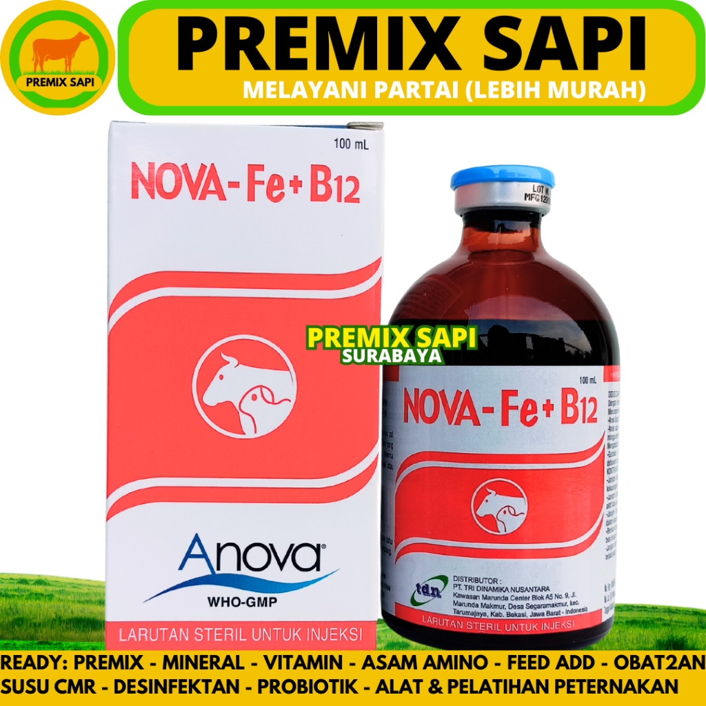 Jual NOVA FE B12 100ML - Like Ferdex Plus - Vitamin B12 dan Zat besi ...