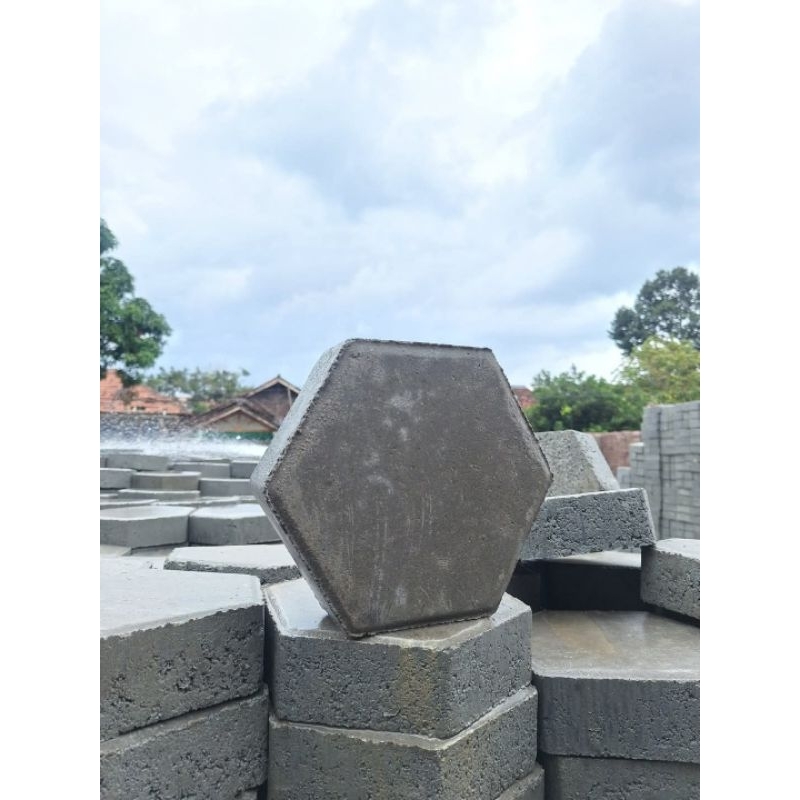 Jual Paving Block Hexagon Abu dan Merah | 6 Cm & 8 Cm | Shopee Indonesia