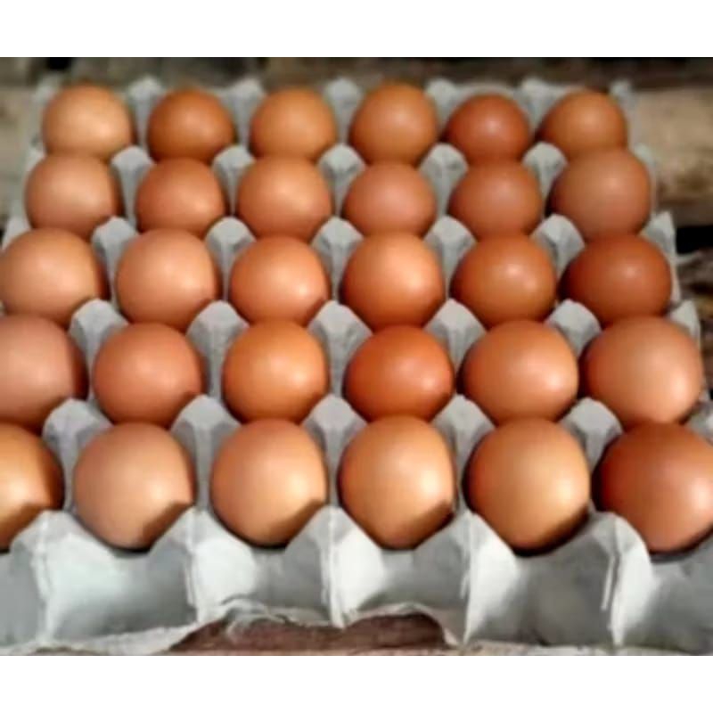 Jual telur ayam 1 rak (30 biji) | Shopee Indonesia
