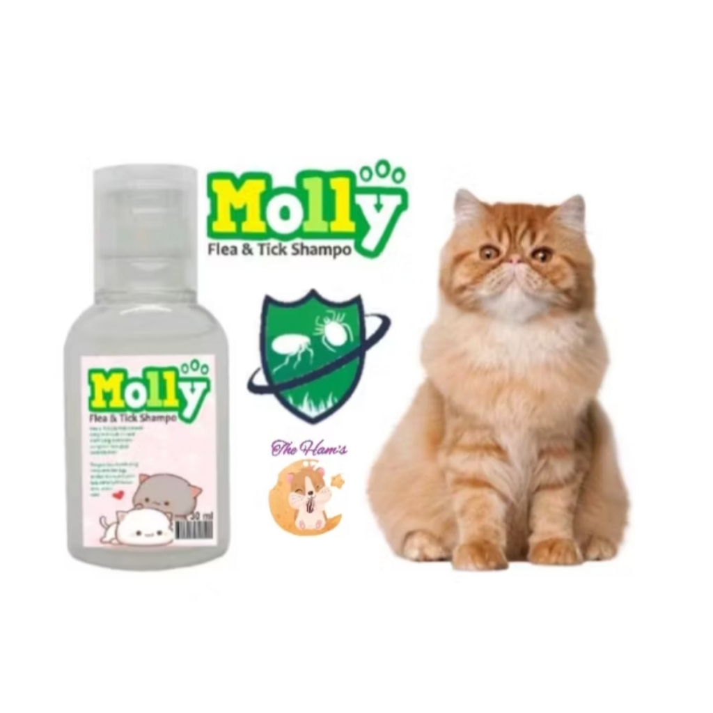 Jual (The Bool's) Molly shampoo kucing anjing anti kutu dan jamur ...