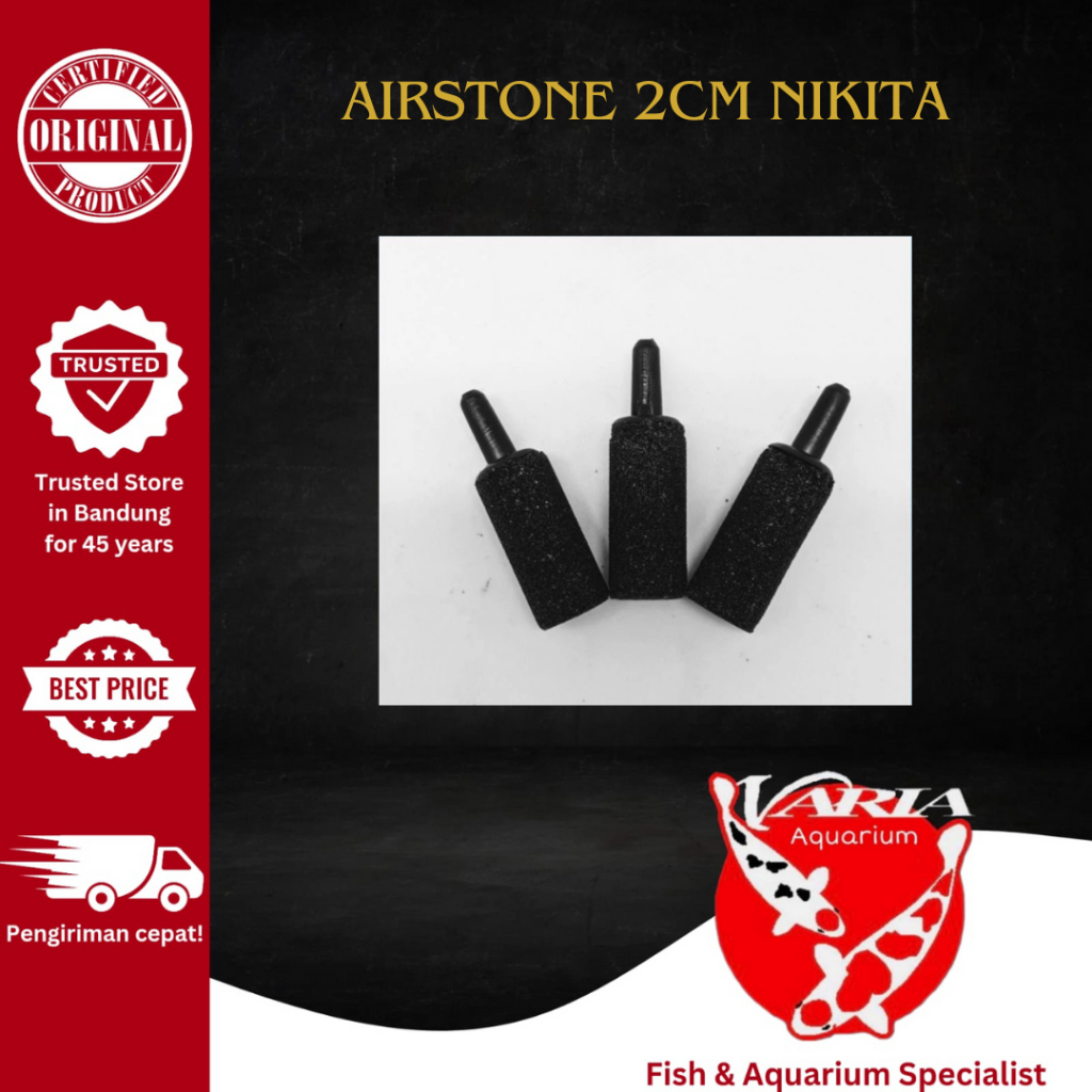 Jual Air Stone Nikita 2cm Batu Gelembung Aquarium kolam Batu Aerator 2 ...