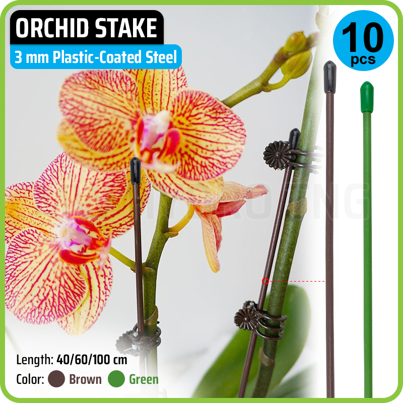 Jual 10 Pcs Plastic Coated Steel Wire for Orchid Spike Plant Support ...