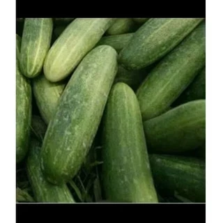 Jual Timun 1 Kg Terlengkap & Harga Terbaru April 2025 | Shopee Indonesia