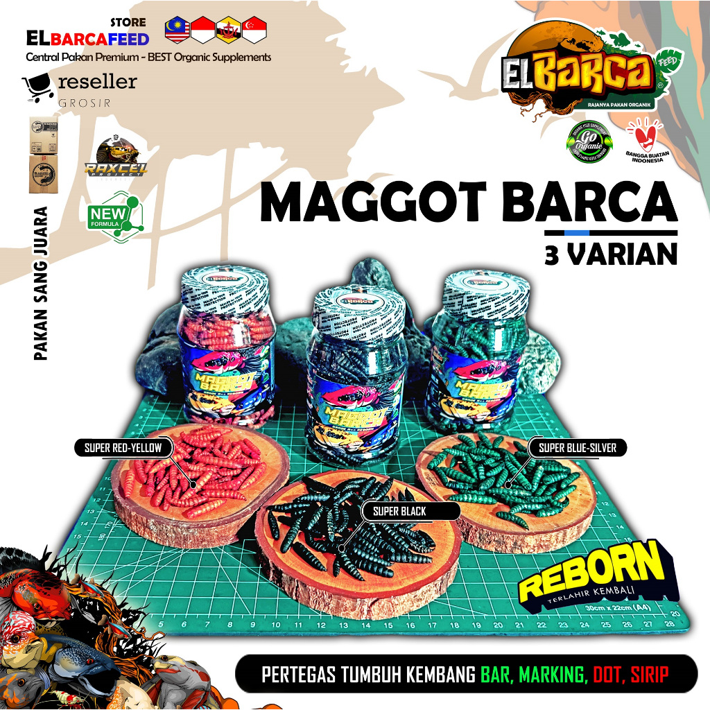 Jual MAGGOT BARCA SUPER RED BLUE BLACK Maggot Kering makanan ikan ...
