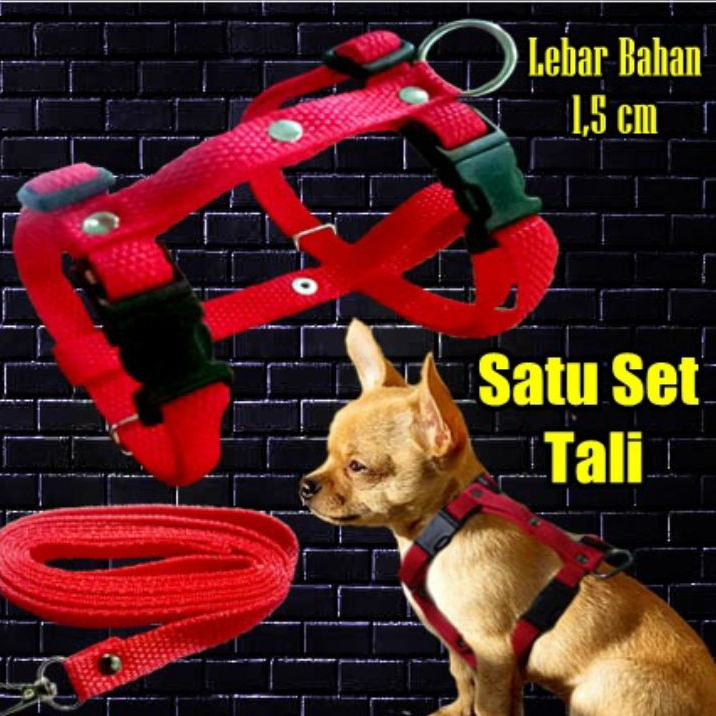 Jual Harness Anjing Kecil Dan Kucing Besar Satu Set Tali Tuntun Panjang ...
