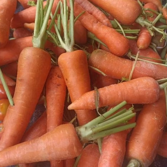 Jual Sayur Wortel 250g (Jambi) | Shopee Indonesia