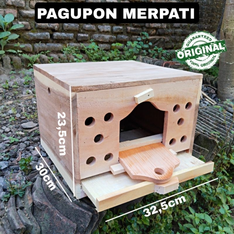 Jual PAGUPON MERPATI TONG DARA LUBANG 5 | Shopee Indonesia
