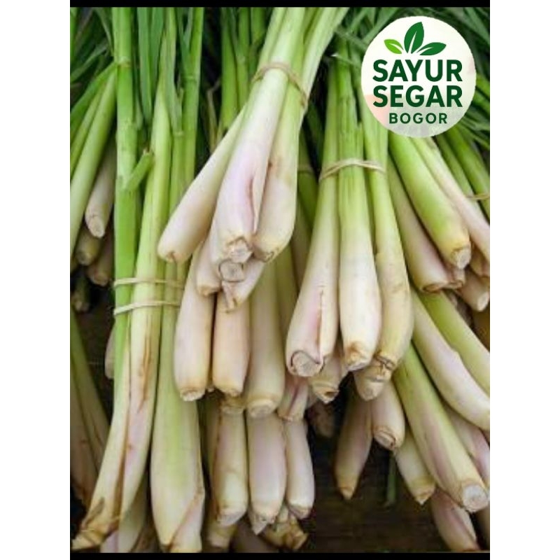 Jual Daun Serai 500 gr | Shopee Indonesia