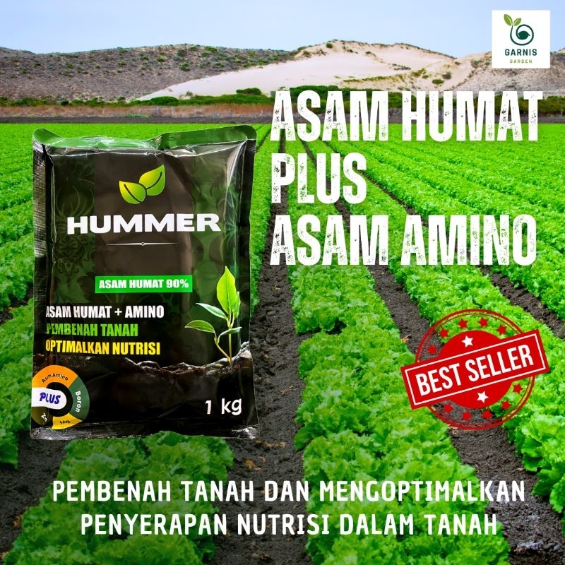 Jual Asam Humat Plus Amino Hummer Memperbaki Kualitas Tanah Memaksimalkan Pertumbuhan Kemasan 1 ...