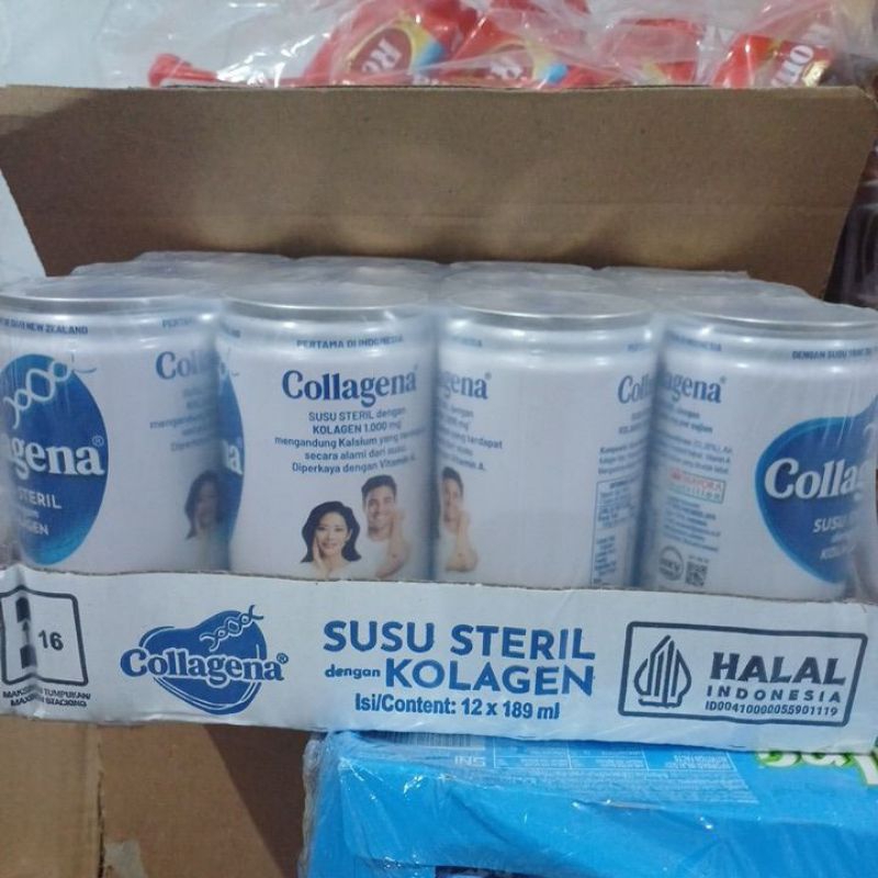 Jual collagena susu steril dengan kolagen 1 krak isi 12klg | Shopee ...