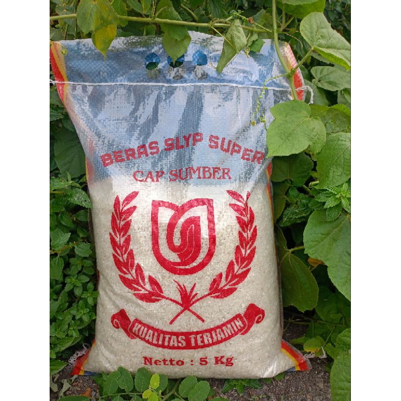 Jual BERAS PREMIUM CAP SUMBER 5 KG | Shopee Indonesia