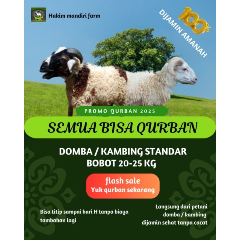 Jual kambing qurban jantan | Shopee Indonesia