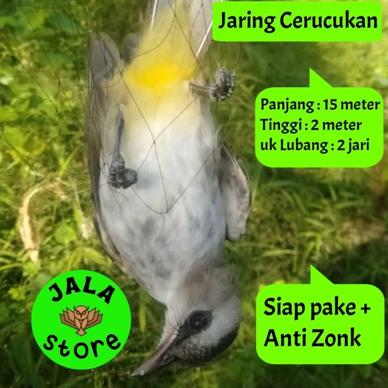 Jual JARING JERAT BURUNG TRUCUKAN JARINGAN BURUNG SIAP PAKE JARING ...