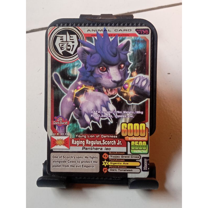 Jual Animal Kaiser Raging Regulus Scorch Jr Evo 8 | Shopee Indonesia