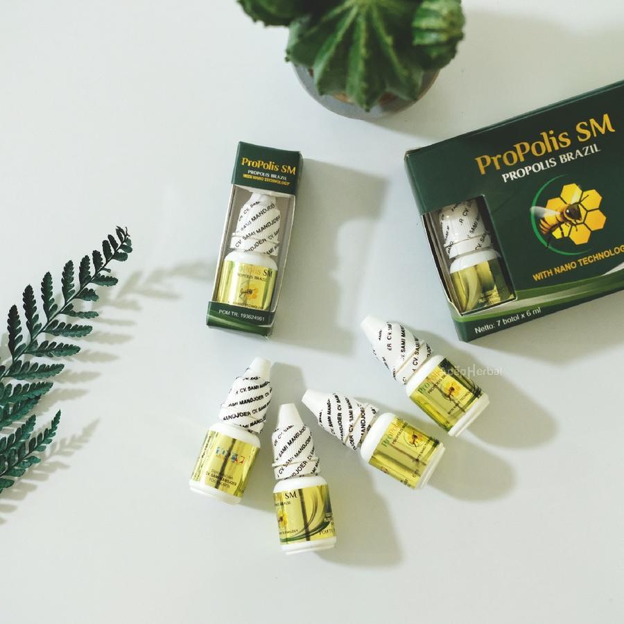 Jual Propolis SM Brazilian Ekstrak Propolis Nano Technology Terbaik ...