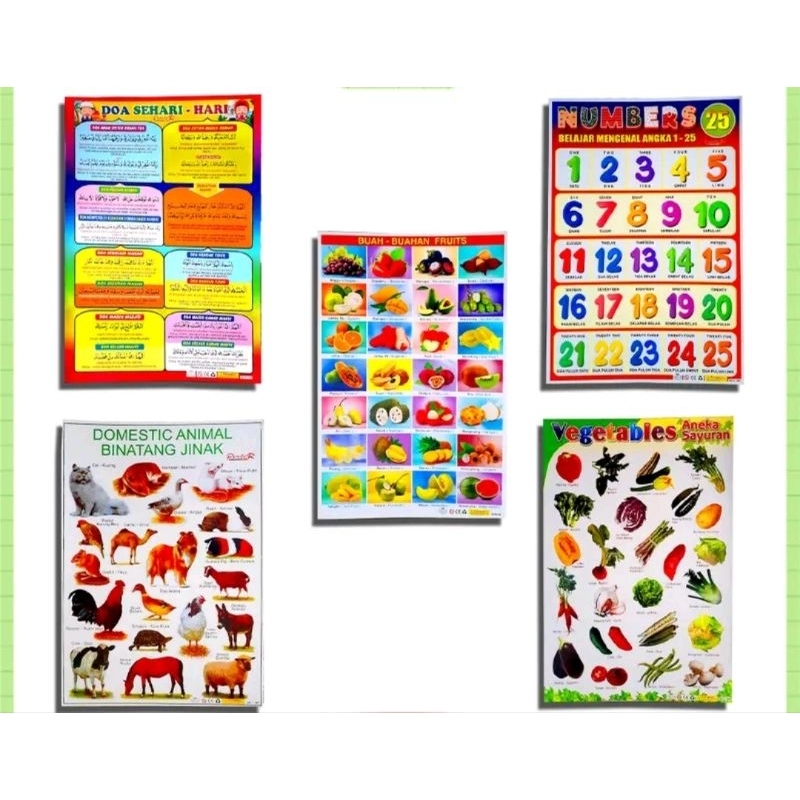Jual Poster Edukasi Anak Lengkap Mainan Edukasi Anak Lembaran | Shopee ...