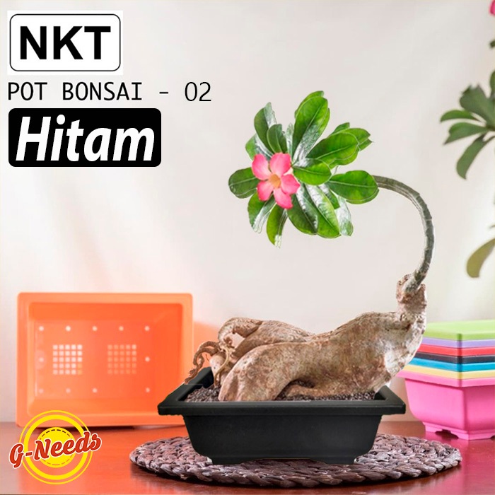 Jual Pot Bunga Tanaman Ceper NKT BONSAI 02 Hitam | Shopee Indonesia