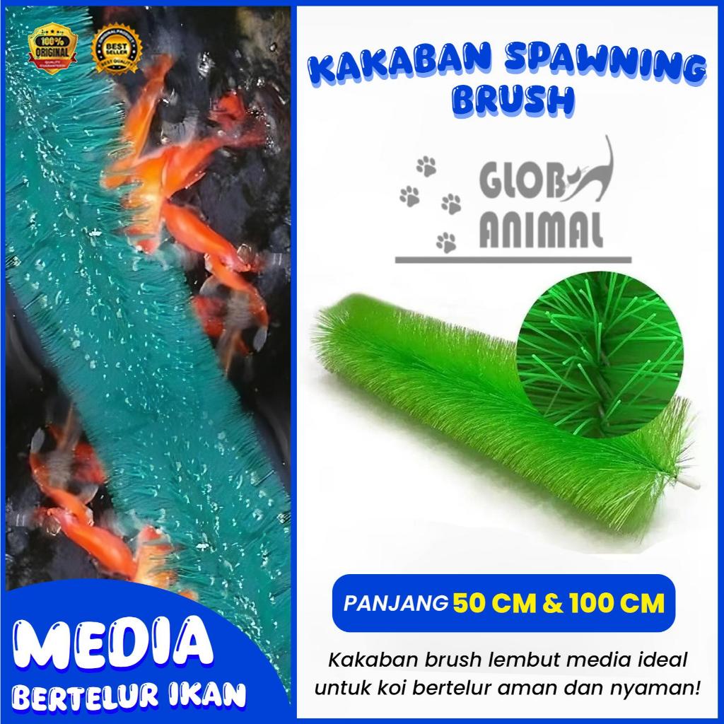 Jual KAKABAN SPAWNING BRUSH 50CM 100 CM media tempat bertelur ikan koi ...