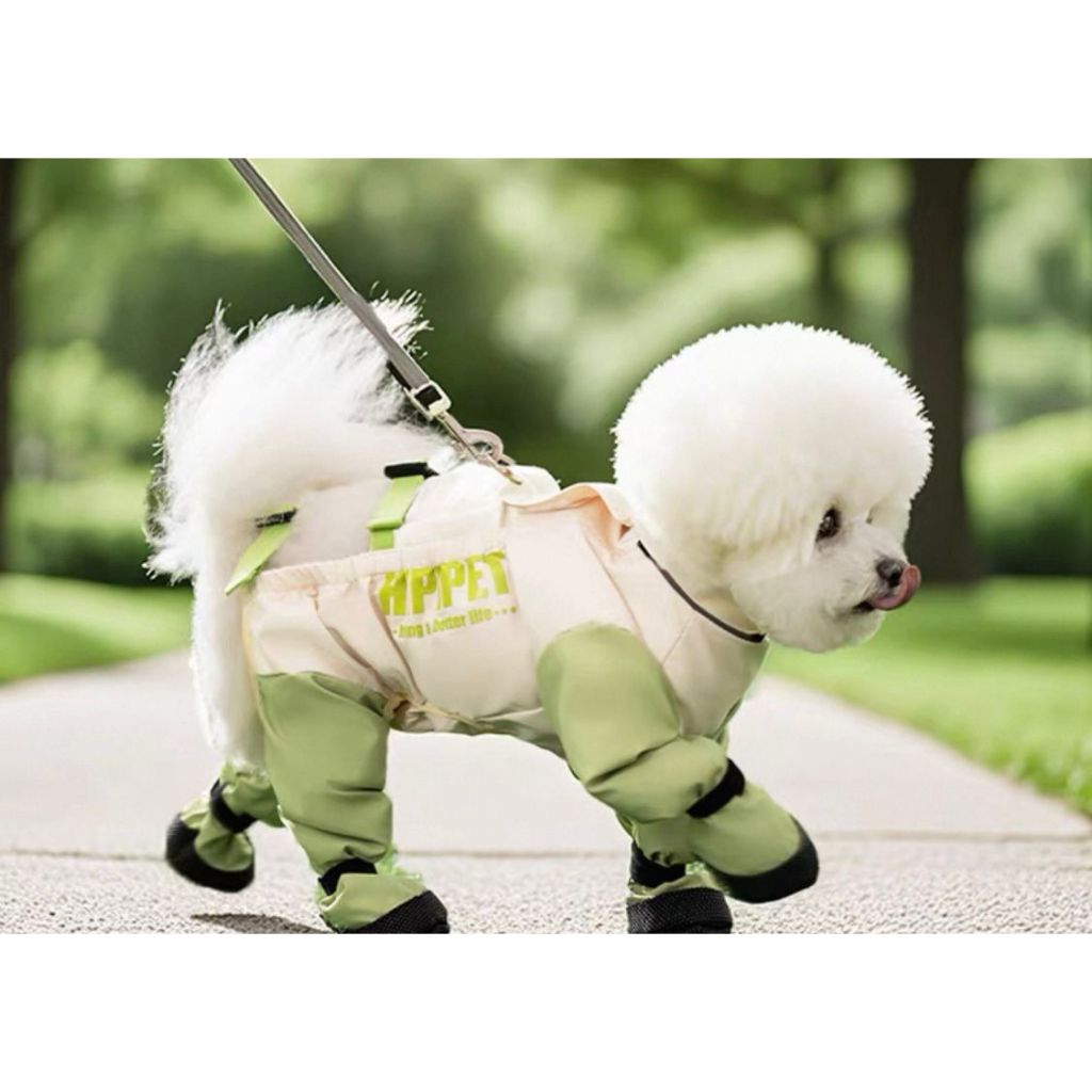 Jual Ootdboelu - Pawtect Pants Viral Color Celana Sepatu Anjing ...