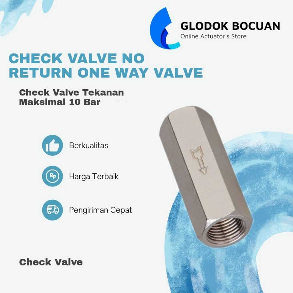Jual CHECK VALVE ONE WAY VALVE NO RETURN VALVE HEXAGONAL | Shopee Indonesia