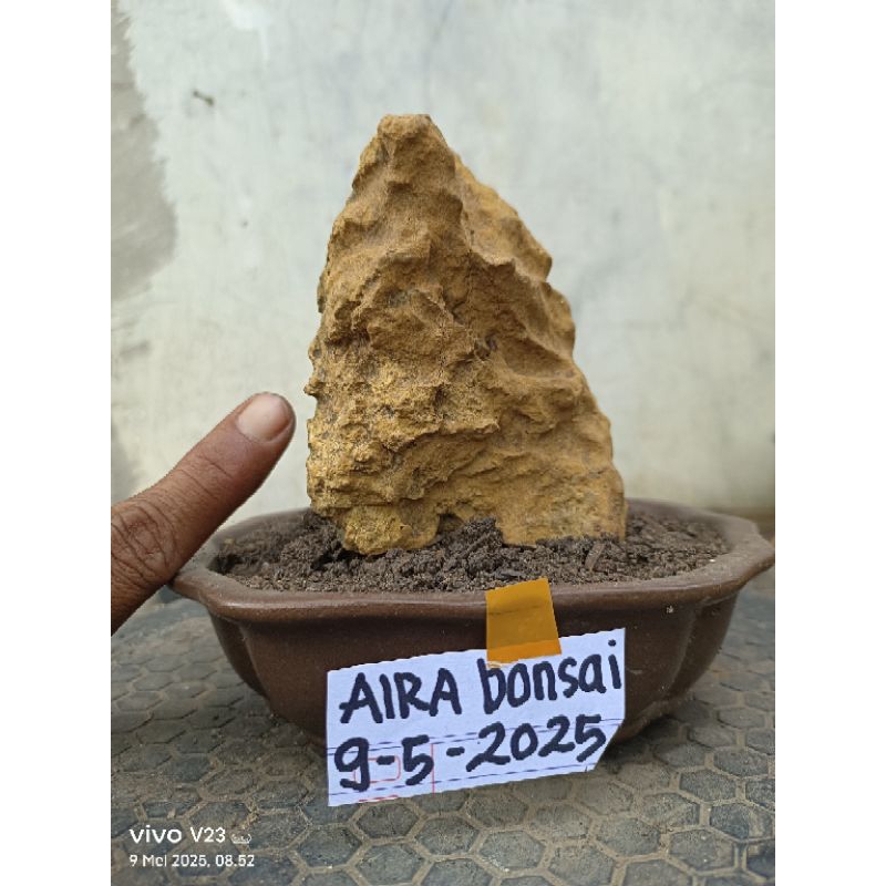 Jual batu gunung untuk bonsai | Shopee Indonesia