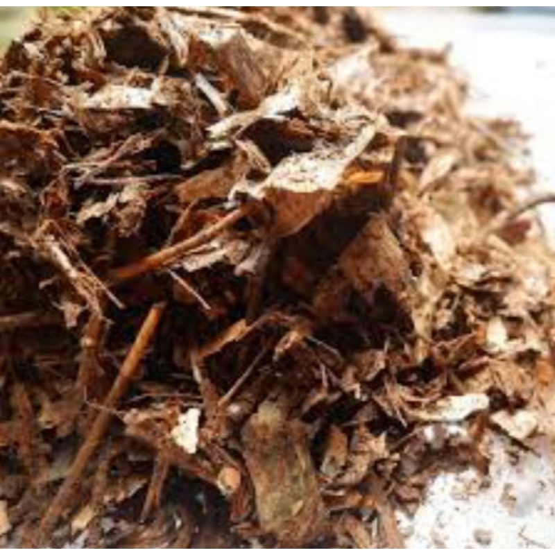 Jual Humus daun bambu kering murni 1kg, media tanaman/pupuk | Shopee ...